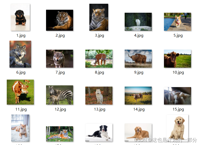 Opencv:使用traincascade训练分类器完成图像识别任务 图片识别训练 Csdn博客