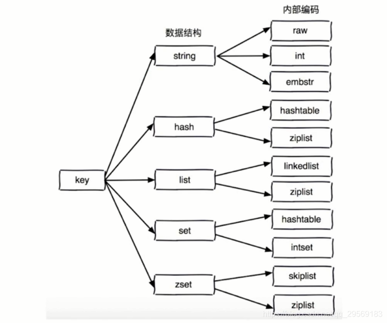 Redis中的数据结构和内部编码redis内部数据和编码原理 Csdn博客