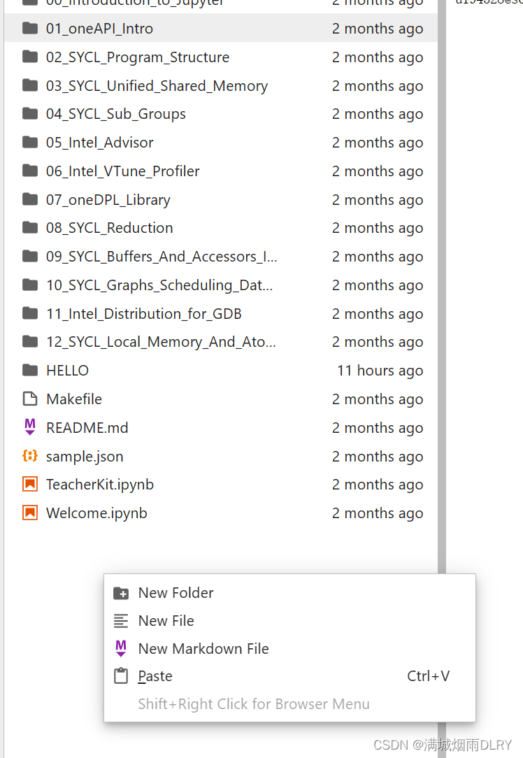 Intel® DevCloud for oneAPI实践_intel devcloud-CSDN博客