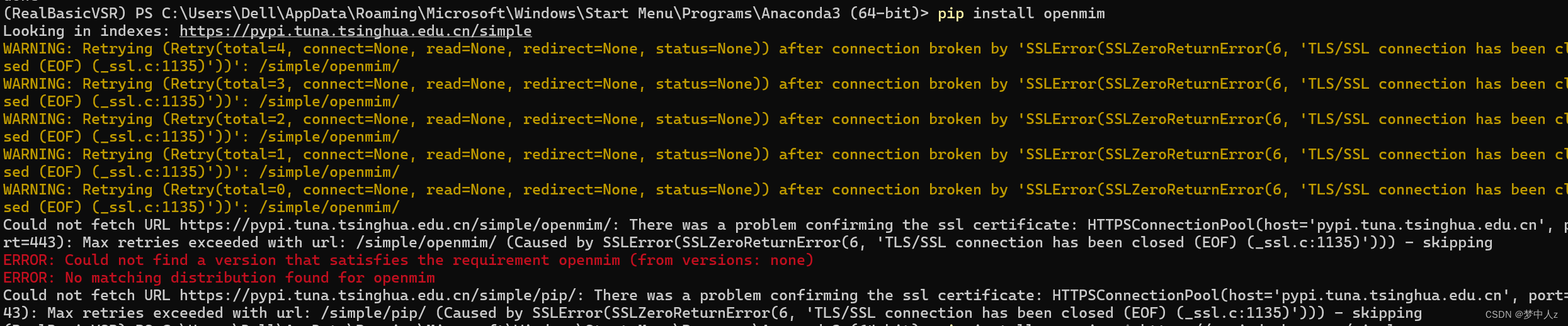 2024.5月RealBasicVSR超分辨率的使用详细教程和解决安装过程中遇到的问题-CSDN博客