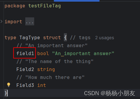 golang Cannot assign a value to the unexported field ‘xxxxx‘_cannot assign a value to the ...
