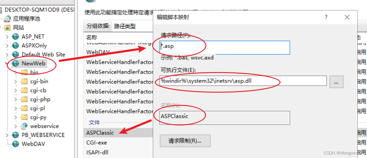 IIS WebDAV配置，https绑定及asp设置-CSDN博客