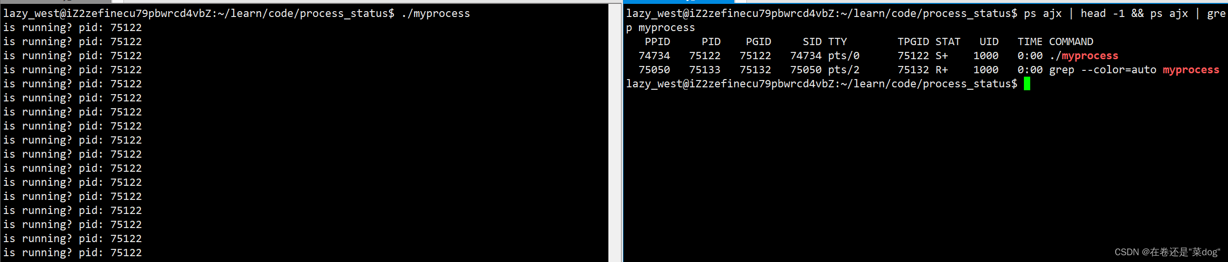 详解Linux进程状态（进程排队，运行状态，睡眠状态，停止状态，僵尸状态，孤儿进程）_不可中断睡眠进程怎么理解-CSDN博客