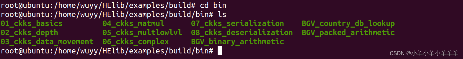 Ubuntu20.04搭建HElib过程及使用_helib库-CSDN博客