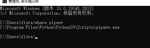 Pycharm解释器的配置： System Intgerpreter 、Pipenv Environment、Virtualenv Environment_pycharm解释器怎么配置-CSDN博客