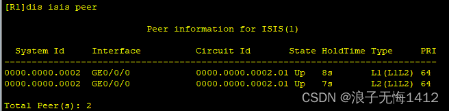 display查看命令_dis int link-info-CSDN博客