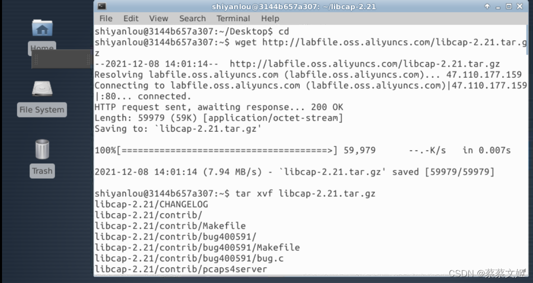 Linux Capability探索试验-CSDN博客