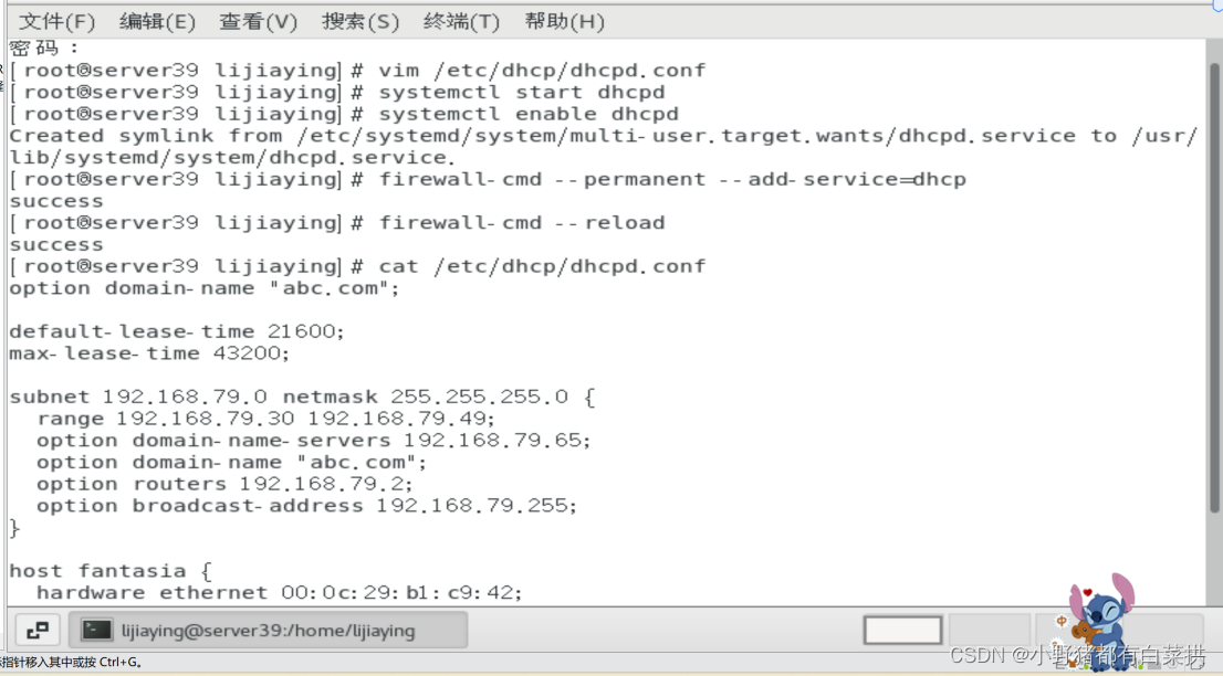 DHCP服务器配置与客户端验证教程,-CSDN博客
