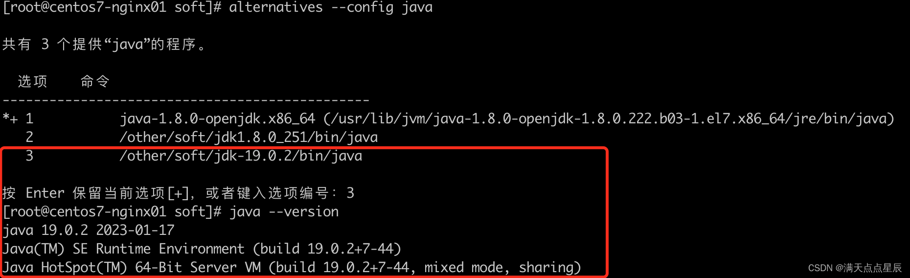 如何用alternatives命令进行java版本的转换_alternatives --config java-CSDN博客