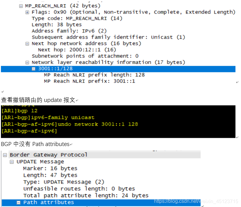 BGP4+（基本配置、通过抓包查看报文的消息类型）_bgp4+ 报文-CSDN博客