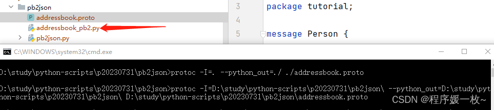 Python读取及生成pb文件，pb与jsonStr互转，pb与dictJson互转，打包.exe/.sh并转换，很完美跨平台_.pb文件-CSDN博客