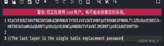 [SWPU 2020]耗子尾汁-CSDN博客