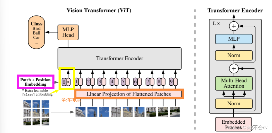 ViT论文解读：Transformer在图像识别中的应用与优势-CSDN博客