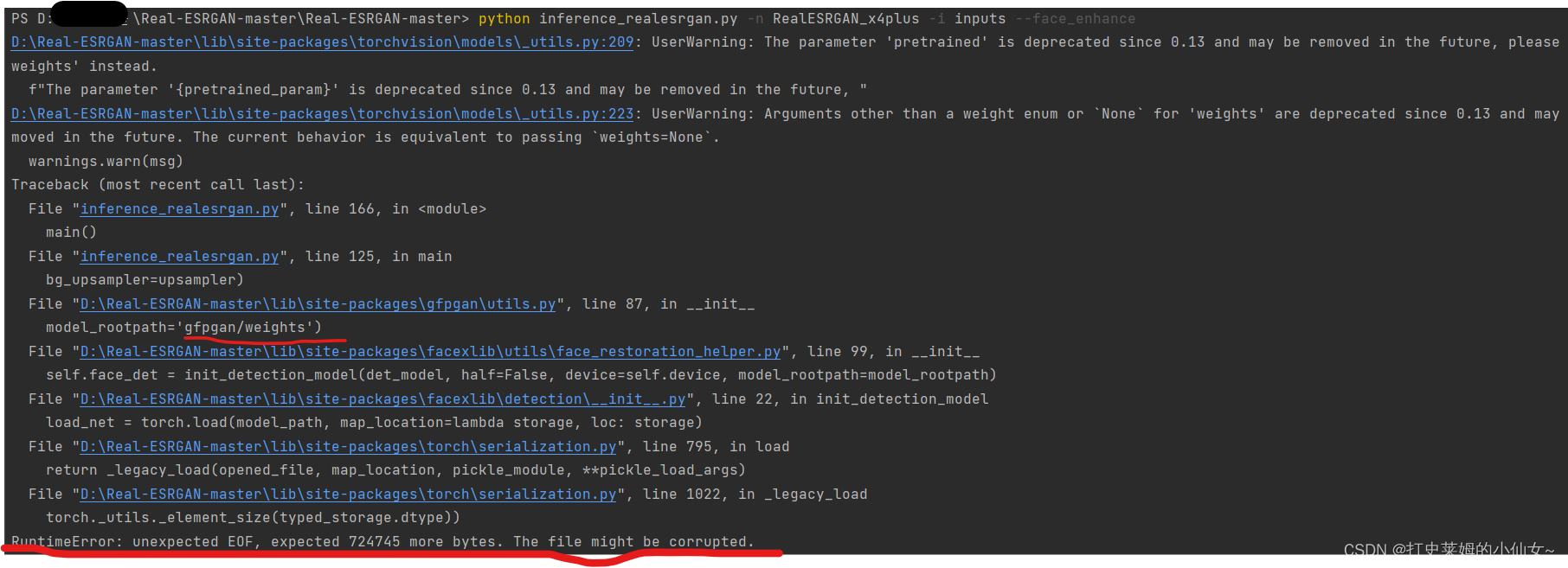 RuntimeError: unexpected EOF, expected 724745 more bytes. The file ...