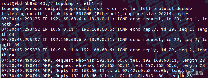 V*N Lab: The Container Version_v*n lab: the container version(seed labs)-CSDN博客