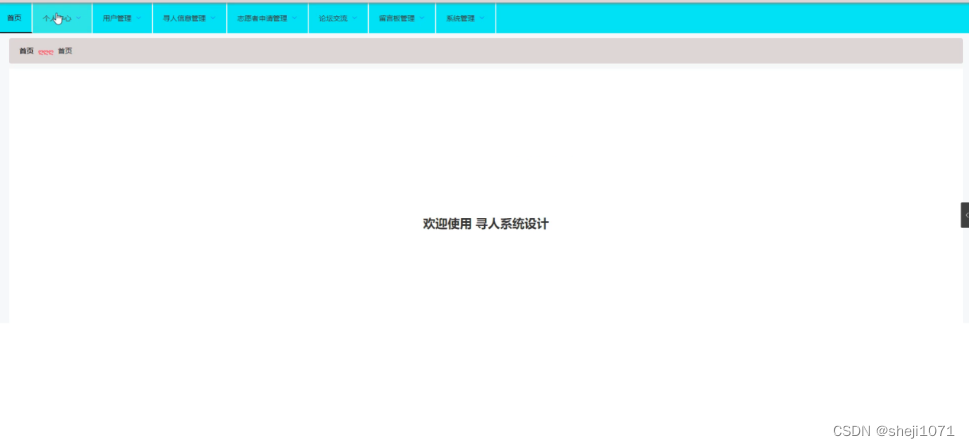 计算机毕设nodejsvue寻人系统设计（程序lw部署）基于vuenode的寻人系统的设计与实现 Csdn博客