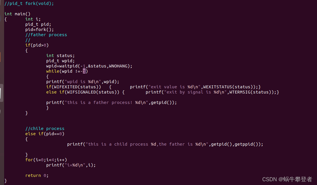 fork（） （父子进程）与wait()、waitpid()（进程回收）-CSDN博客