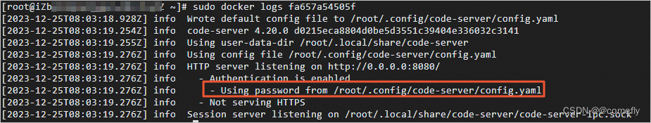 浏览器编程，部署code-server指南_code server-CSDN博客