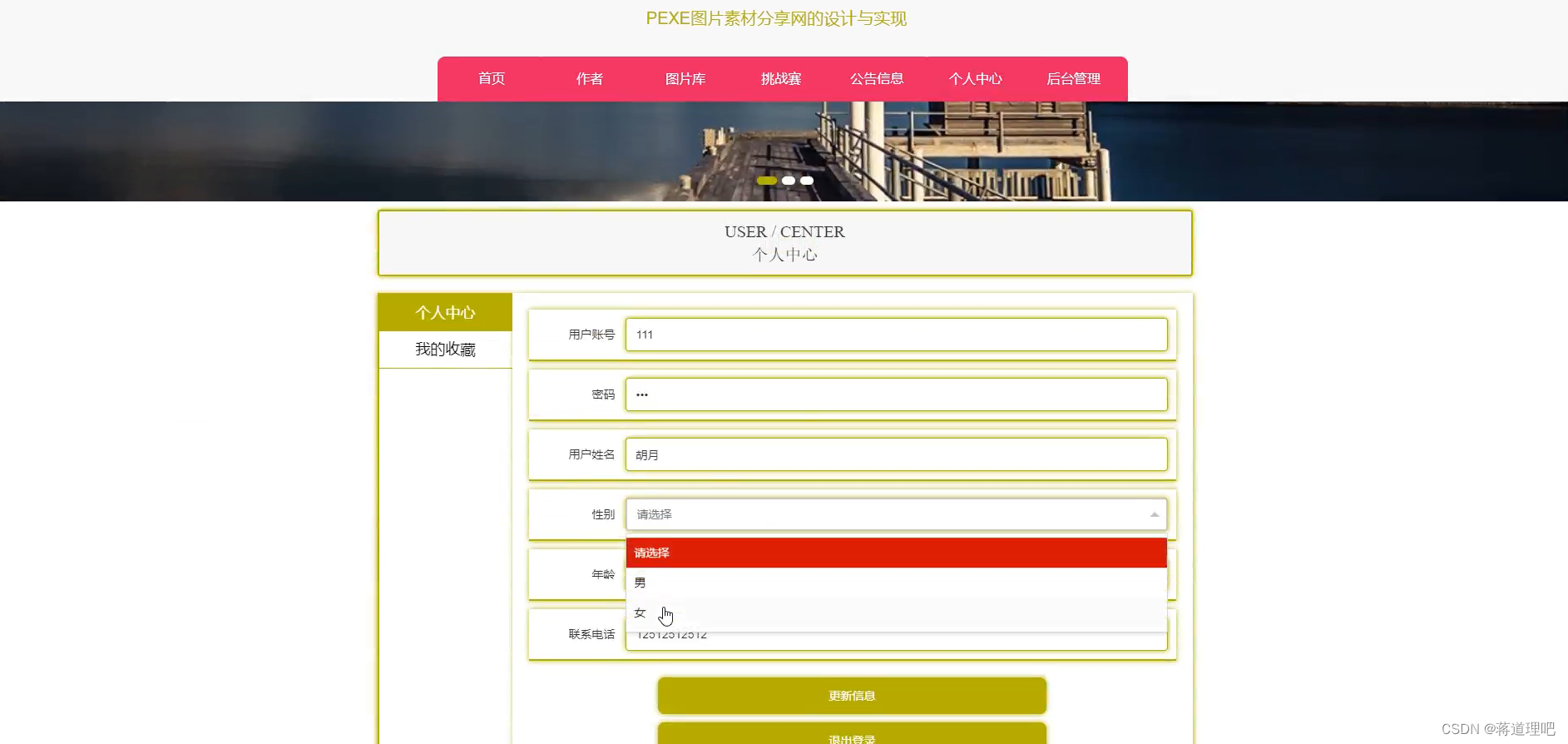 springboot毕设项目PEXE图片素材分享网的设计与实现ea04m（java+VUE+Mybatis+Maven+Mysql）_springboot 图片素材系统-CSDN博客