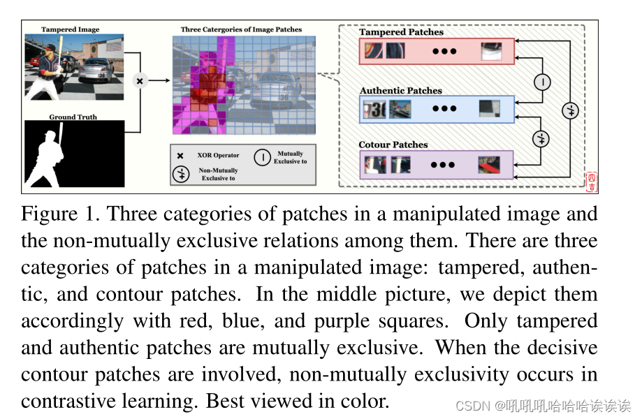 Pre-training-free Image Manipulation Localization through Non-MutuallyExclusive Contrastive ...