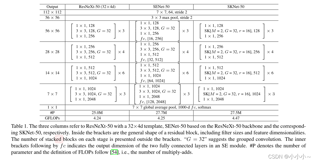 Selective Kernel Networks-CSDN博客