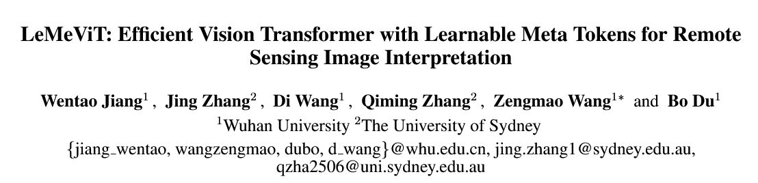 【IJCAI2024】LeMeViT: Efficient Vision Transformer with Learnable Meta Tokens-CSDN博客