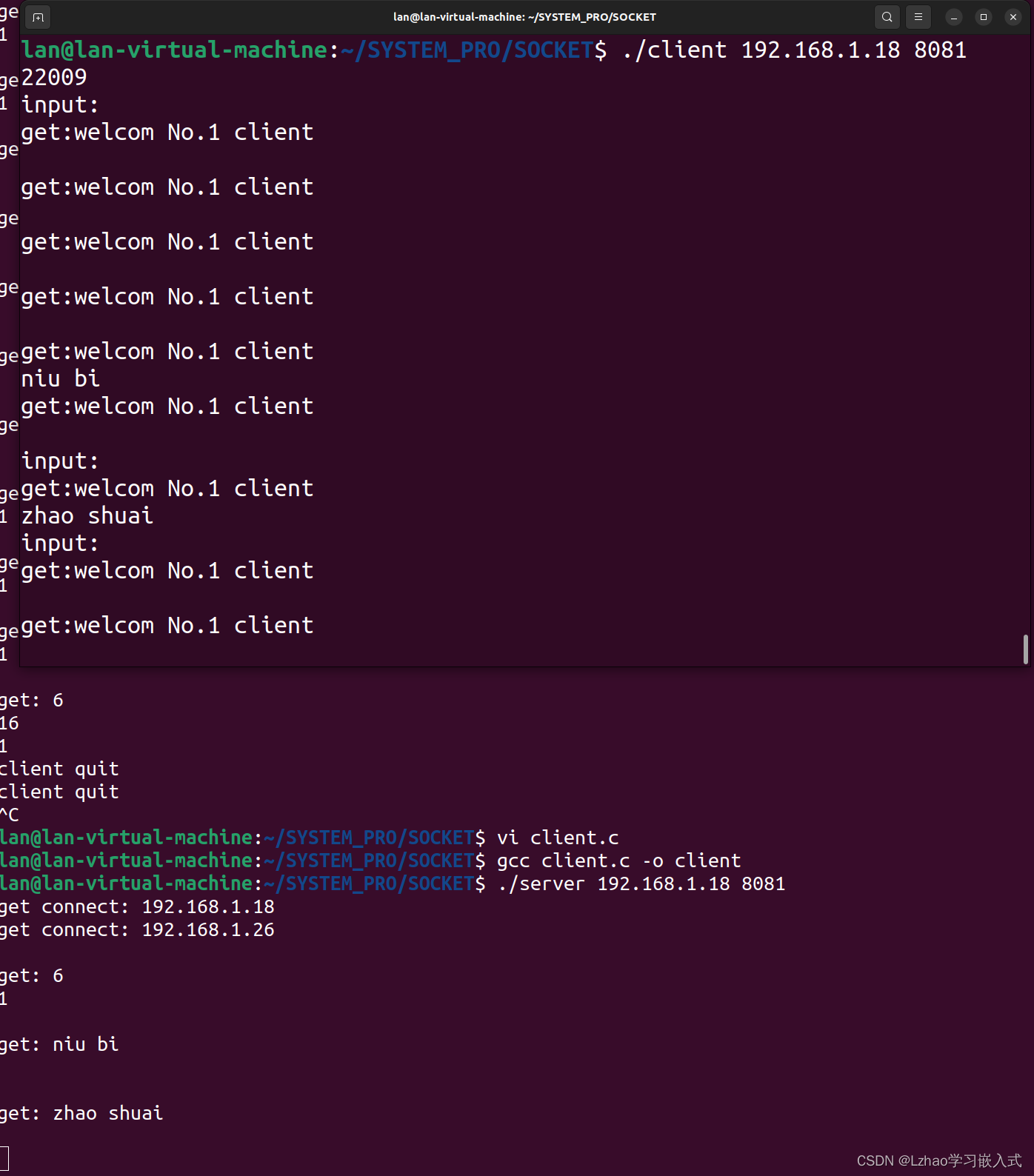 Linux网络编程——概念及实现双方聊天_liunx对话-CSDN博客
