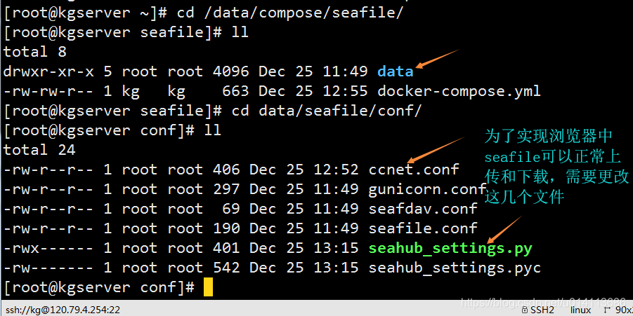 docker部署seafile_seafile docker部署-CSDN博客