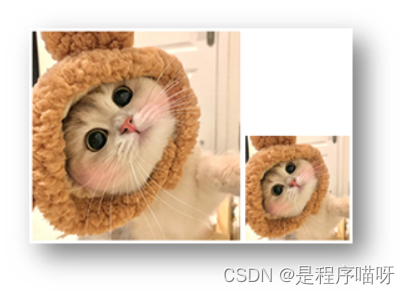 day04-CSS进阶_css 进阶-CSDN博客