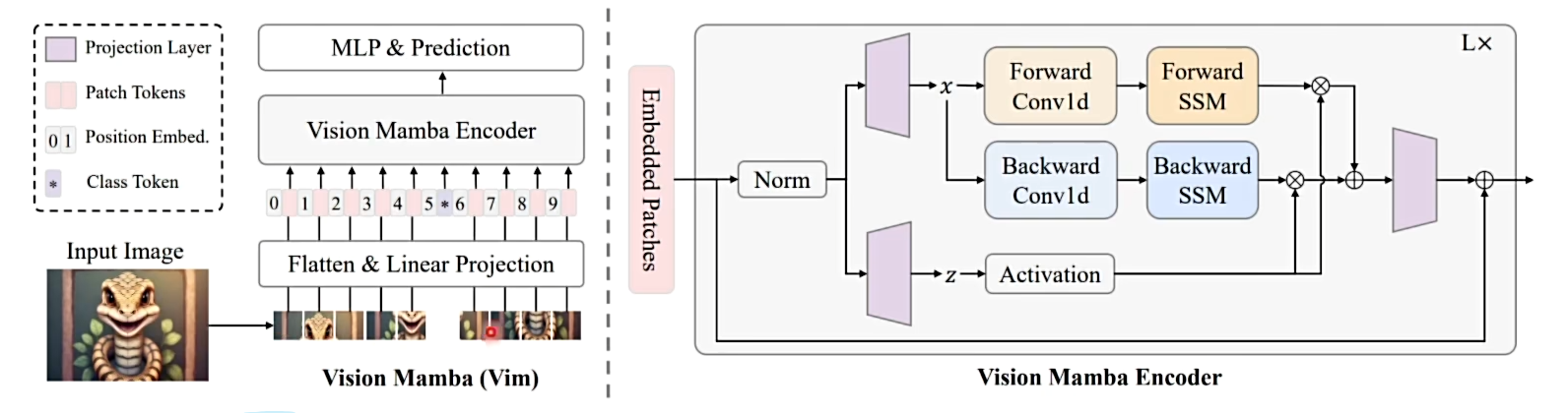 Mamba 模型_mamba模型-CSDN博客