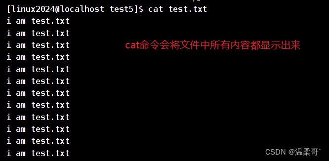 Linux文件操作命令（touch、cat、more、cp、mv、rm）_touch linux-CSDN博客