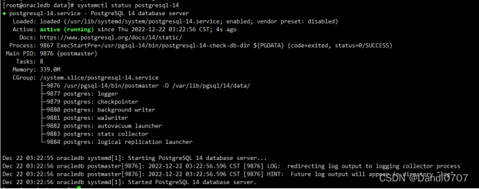 PostgreSQL详细安装步骤_postsql安装-CSDN博客