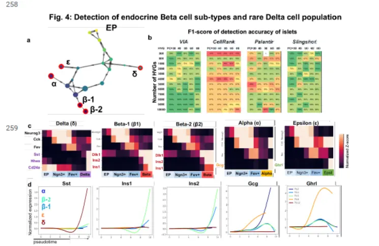 单细胞数据拟时分析之VIA（我的优势你们比不了）_pyvia-CSDN博客