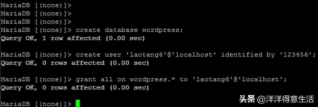 centos8 搭建WordPress详细步骤_centos8 wordpress-CSDN博客
