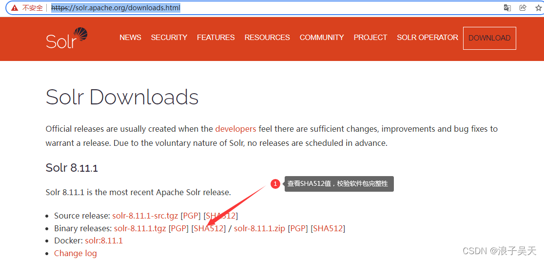 Linux之solr8单机安装部署_solr8部署linux-CSDN博客