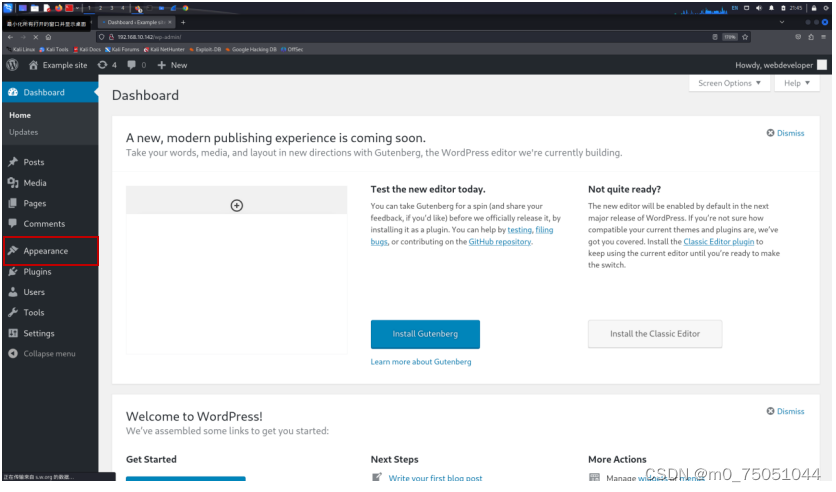 vulnhub靶场，WEB DEVELOPER:1——新手进阶2_vulnhub靶场新手-CSDN博客