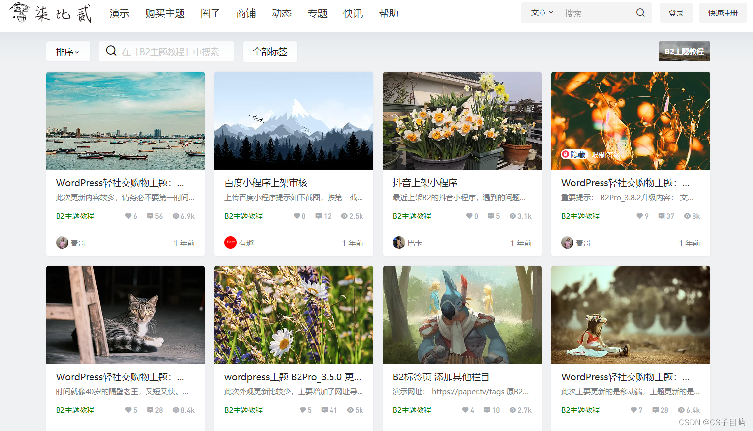 B2 PRO WordPress主题：5月最新版本免授权_b2主题-CSDN博客