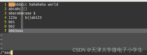VIM奇技淫巧-VIM/GVIM中的正则匹配_gvim正则匹配-CSDN博客