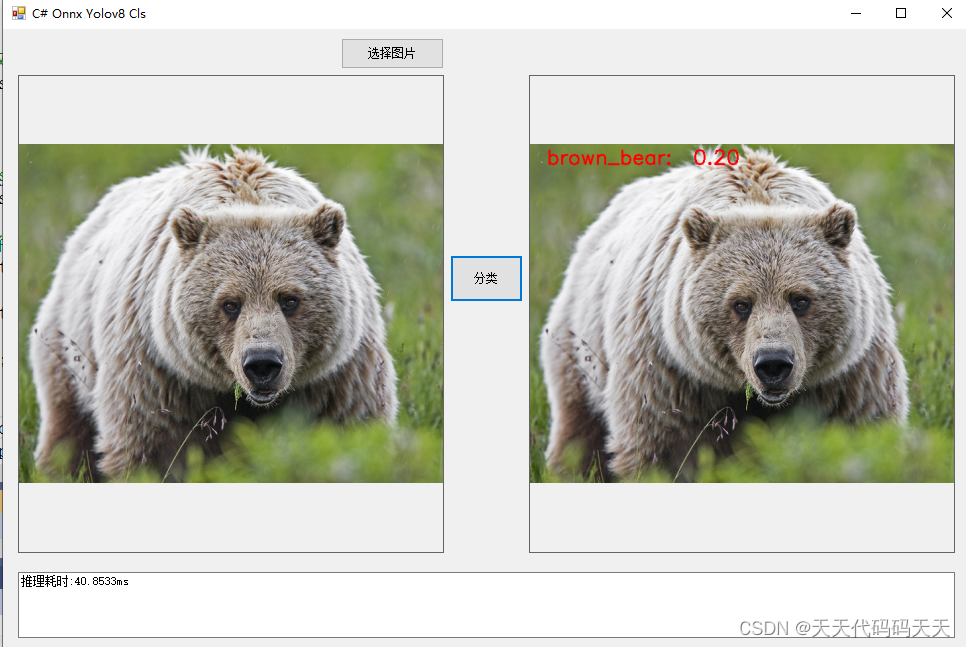 C# Onnx Yolov8 Cls 分类_yolov8 c# cpu-CSDN博客