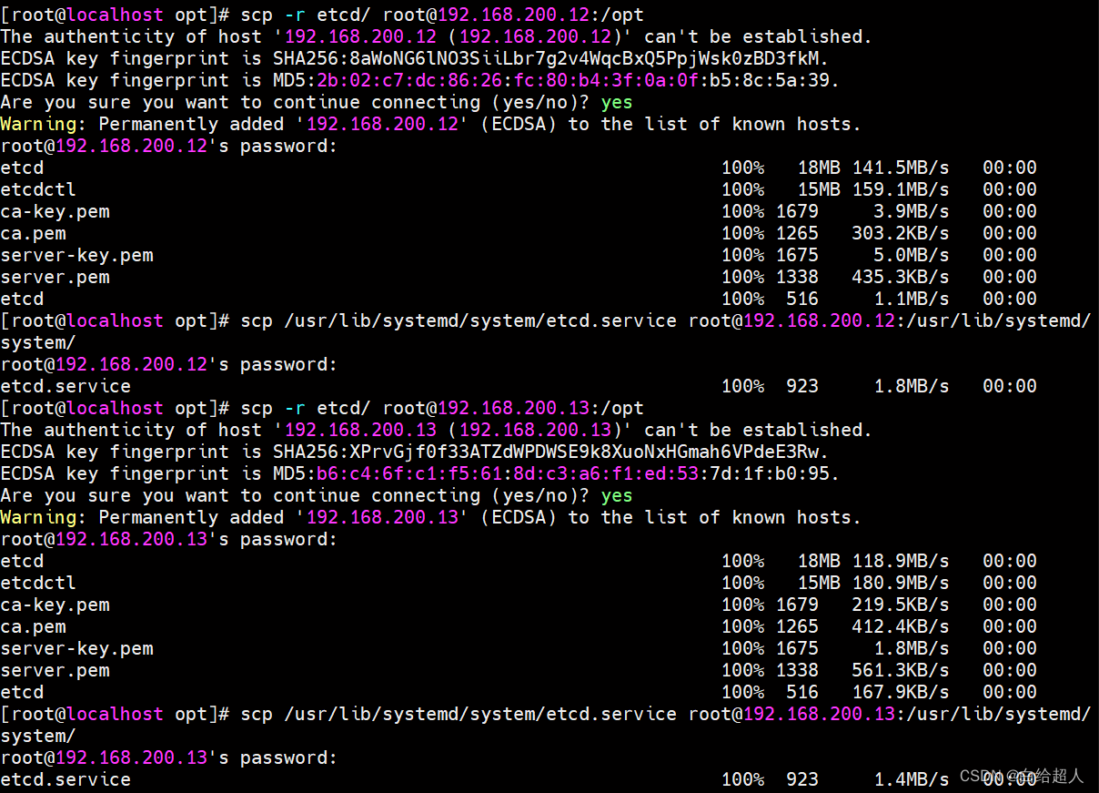 K8S二进制部署之定义CA证书与ETCD_etcd-key etcd-cert etcd-ca-CSDN博客
