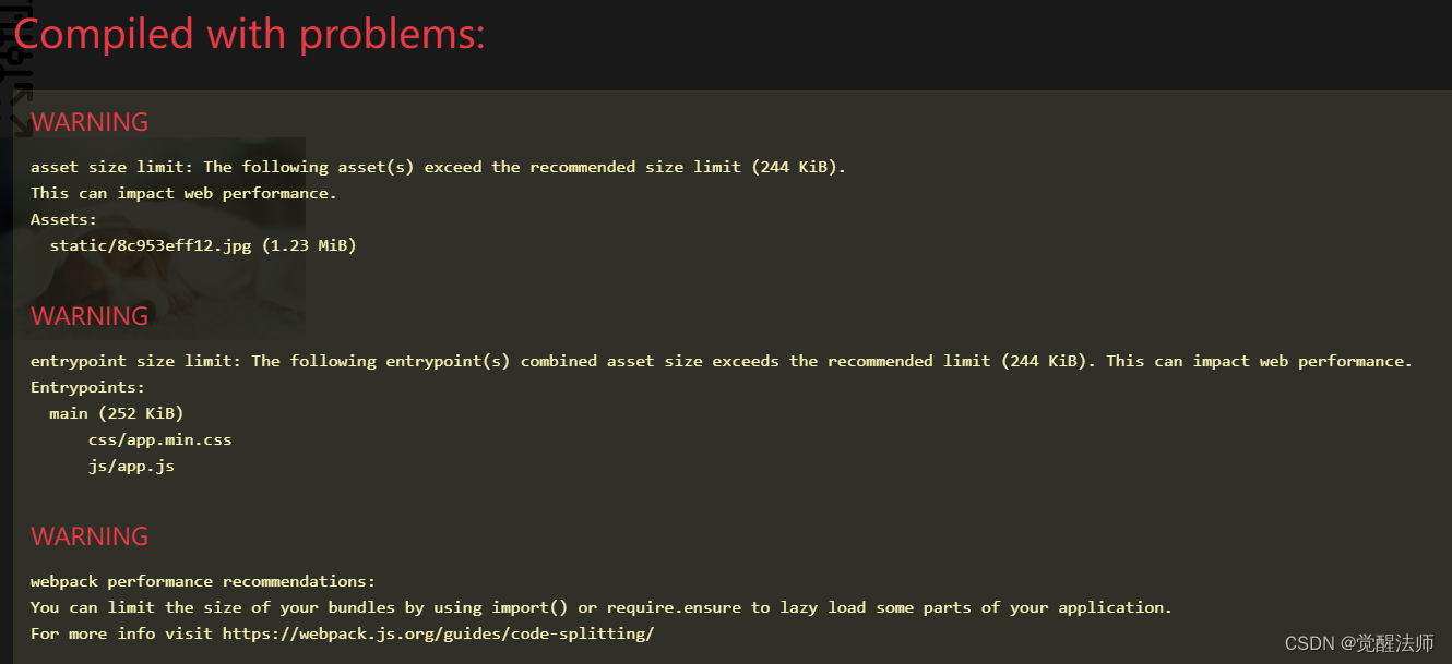 Webpack抛出错误/警告：asset size limit: The following asset(s) exceed the recommended size limit (244 ...