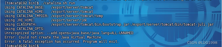 Error: Could not create the Java Virtual Machine（Linux启动tomcat成功后找不到进程8080端口）_linux could not ...