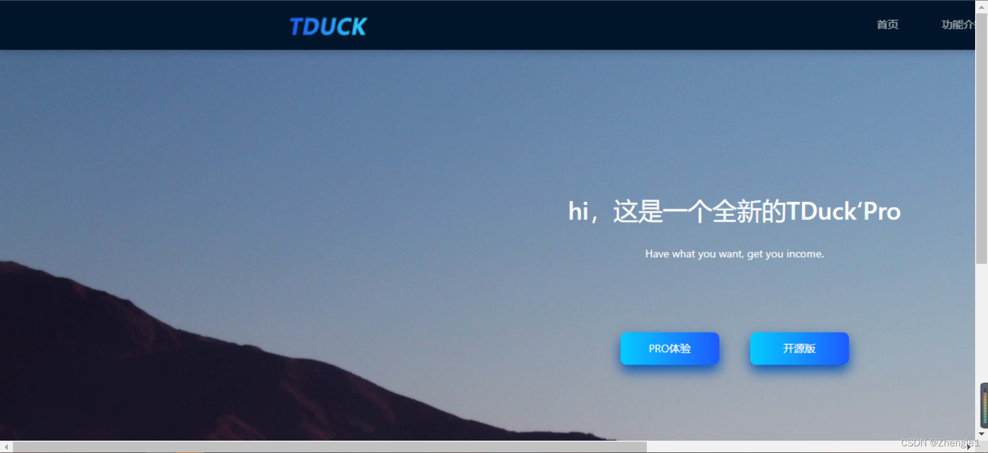 Tduck开源表单docker部署详细教程_tduck docker-CSDN博客