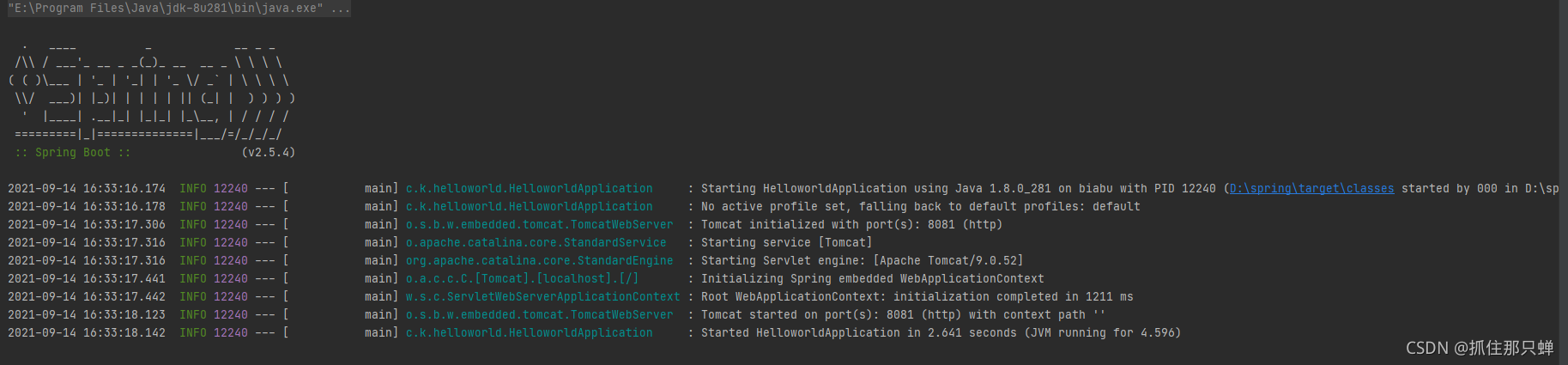 启动springboot项目Error starting ApplicationContext. To display the ...