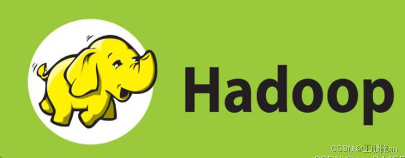 大数据- Hadoop入门_大数据hadoop-CSDN博客