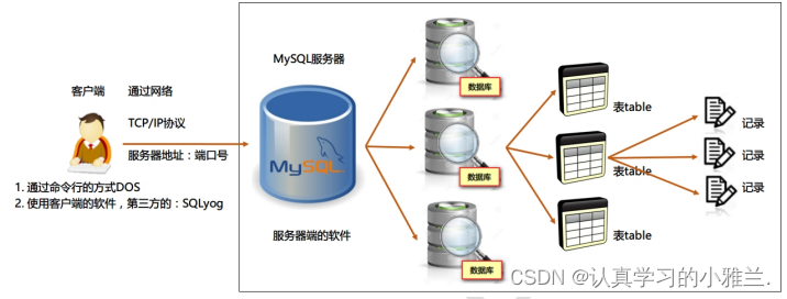 初识MySQL数据库——“MySQL数据库”-CSDN博客