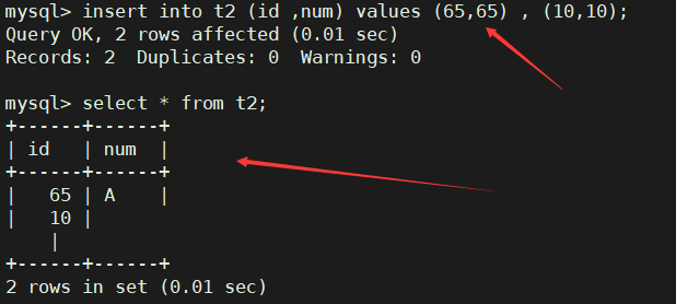 【mysql】 数据类型mysql Bit Bool Csdn博客
