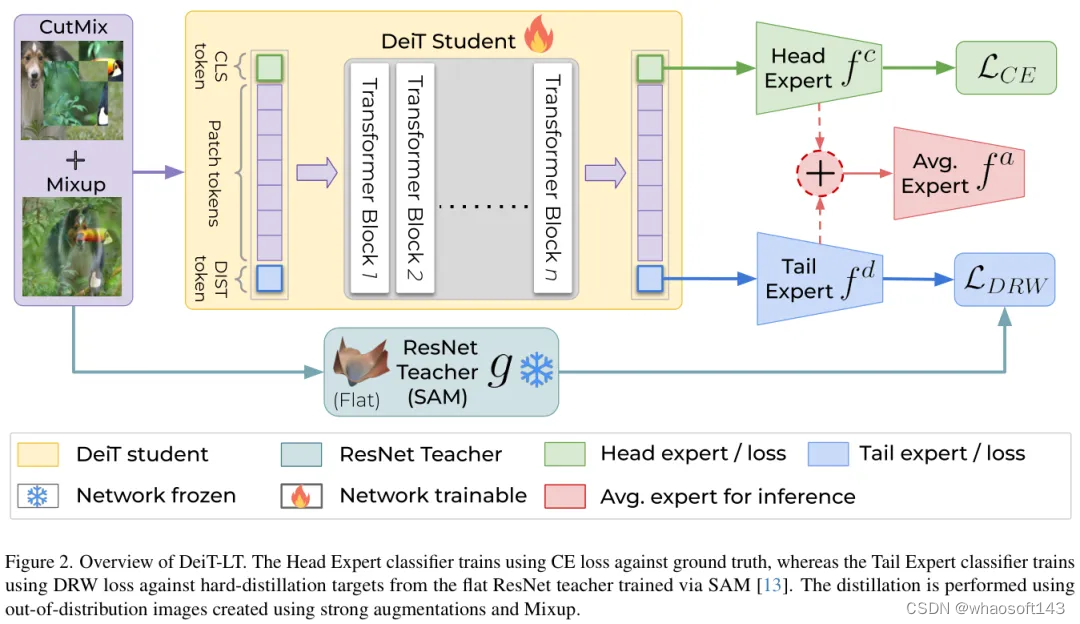 DeiT-LT_低秩特征-CSDN博客