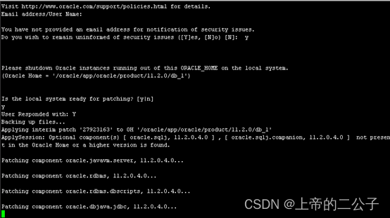 11G RAC PSU-CPU-OJVM补丁升级过程_oracle11g最新补丁-CSDN博客