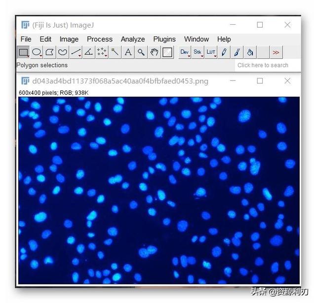 ImageJ Nikon_ImageJ使用教程之自动细胞计数篇-CSDN博客
